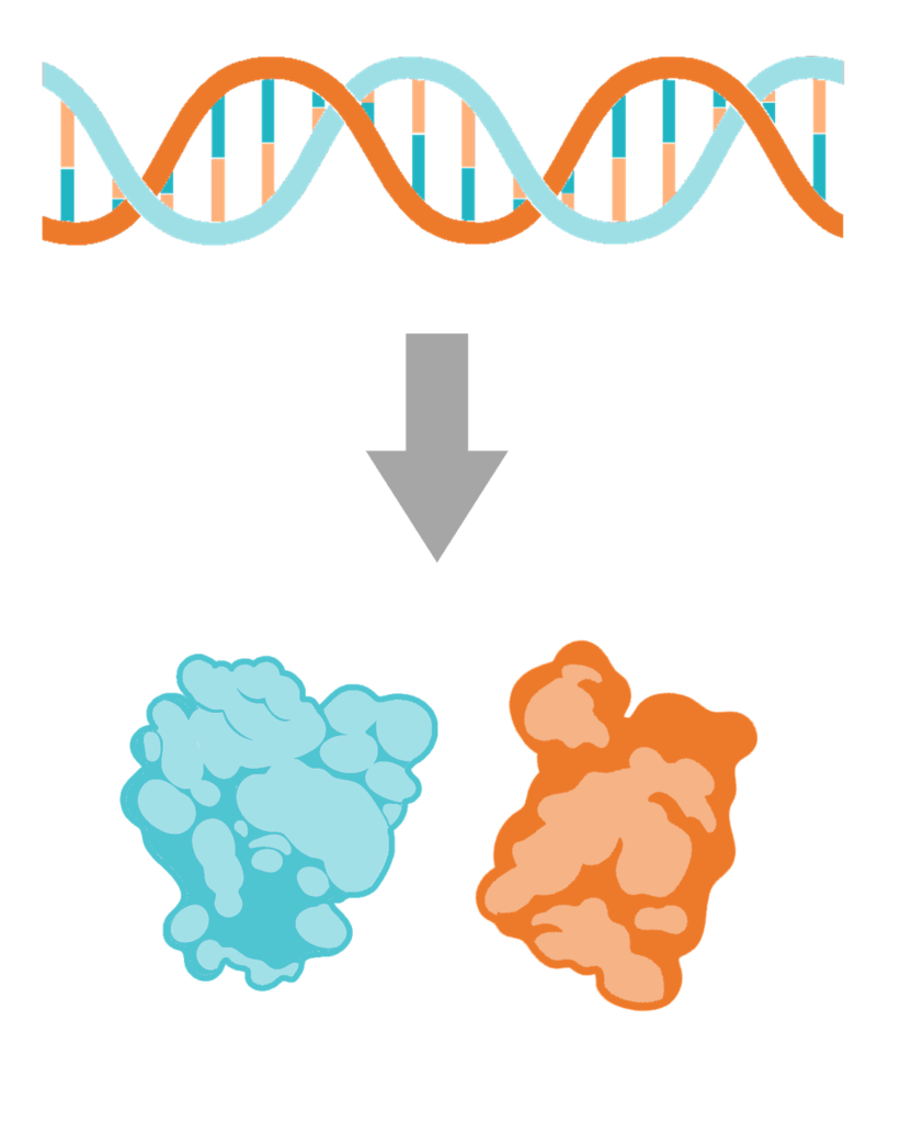 Our Science - MytoHealth